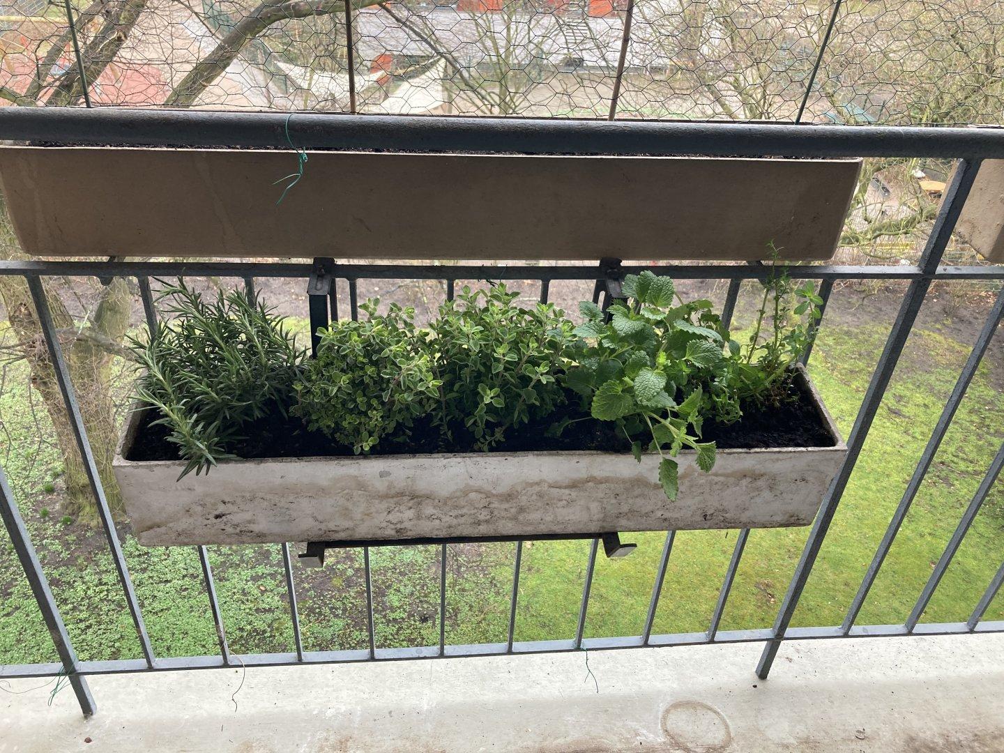 Moppelkotzer (@moppelkotzer@pawoo.net) - Pawoo - 創作活動や自由なコミュニケーションを楽しめる場