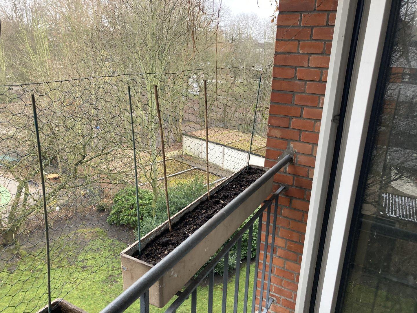 Moppelkotzer (@moppelkotzer@pawoo.net) - Pawoo - 創作活動や自由なコミュニケーションを楽しめる場